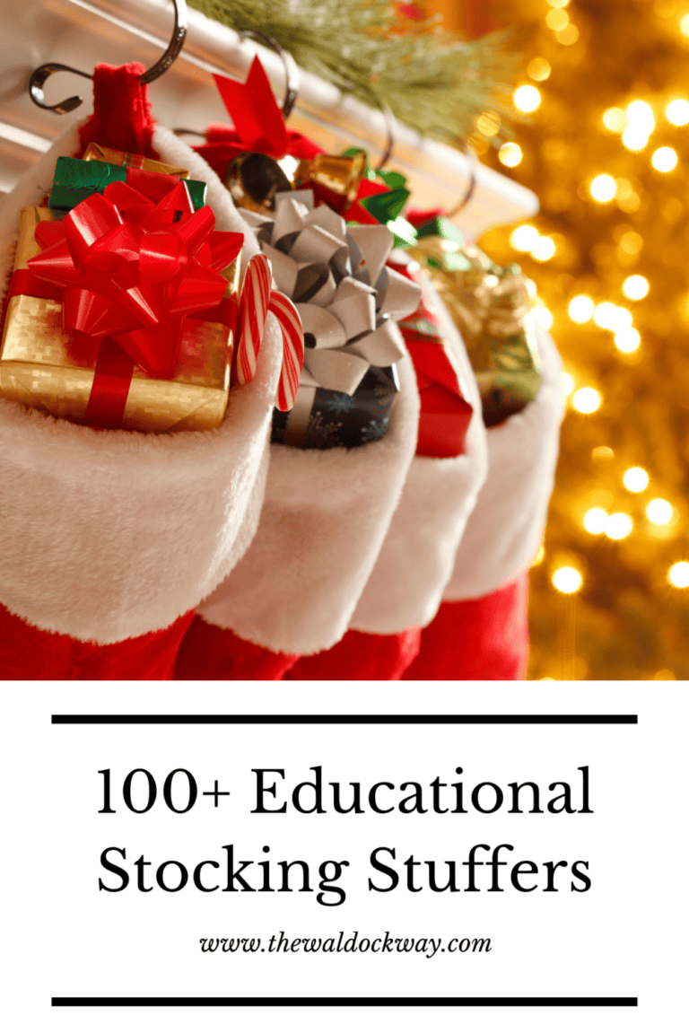 Educational Stocking Stuffers Perfect For Homeschoolers - The Waldock Way