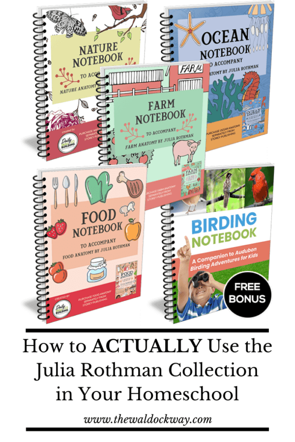 How to Actually Use the Julia Rothman Collection in Your Homeschool