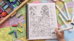 A New Approach to Homeschool Geography: Traveling the States