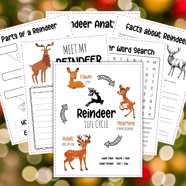 Reindeer Unit Study - The Waldock Way