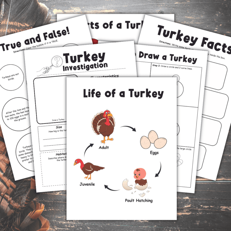 Turkey Unit Study - The Waldock Way