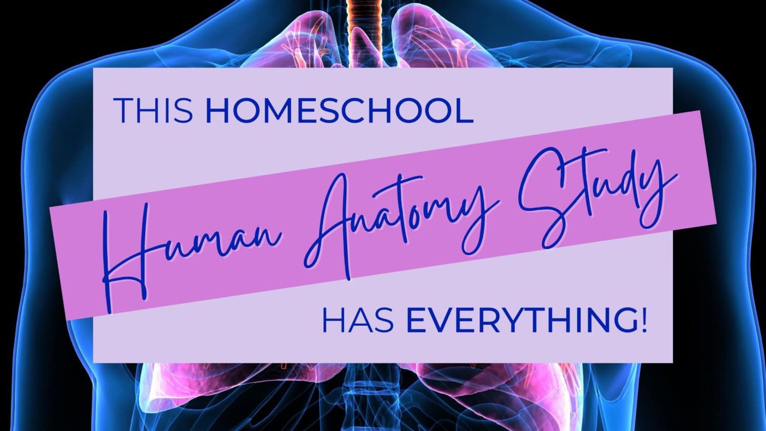 This Homeschool Human Anatomy Study Has Everything!