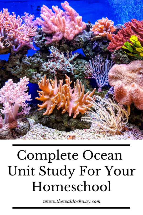 A Complete Ocean Unit Study For Your Homeschool