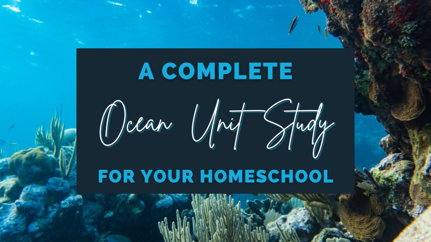 A Complete Ocean Unit Study For Your Homeschool