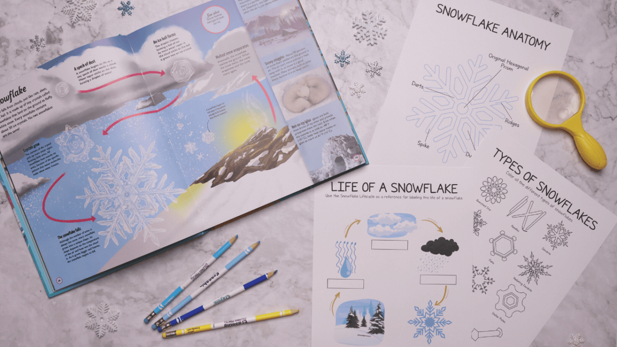 The Ultimate Guide To Winter Science In Your Homeschool