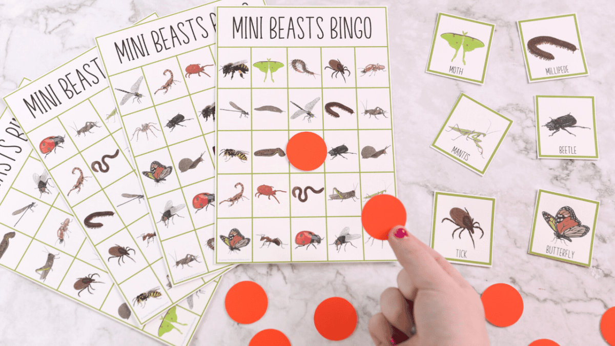 Minibeasts: A K-12 Insect Unit Study Your Child Will Love
