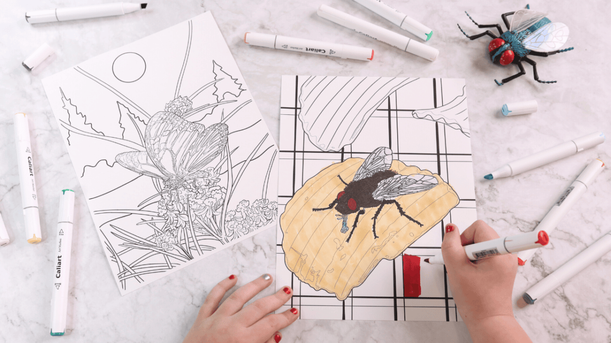 Minibeasts: A K-12 Insect Unit Study Your Child Will Love