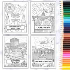 US Government Bundle - The Waldock Way