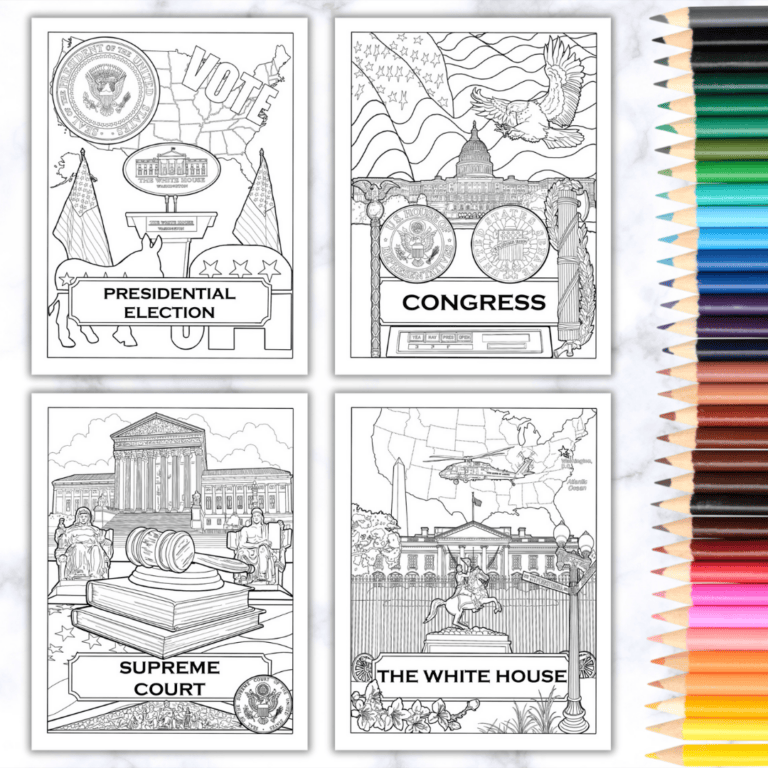 US Government Bundle - The Waldock Way