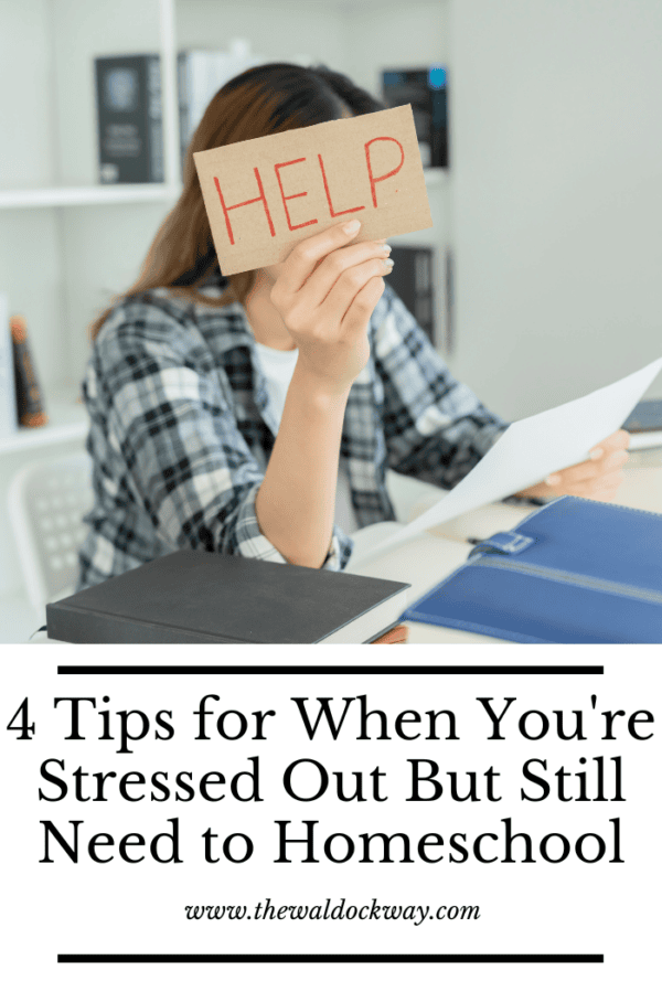 4 Tips for When You're Stressed Out But Still Need to Homeschool - The ...
