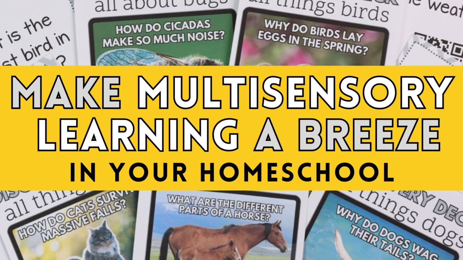 Make Multisensory Learning A Breeze In Your Homeschool