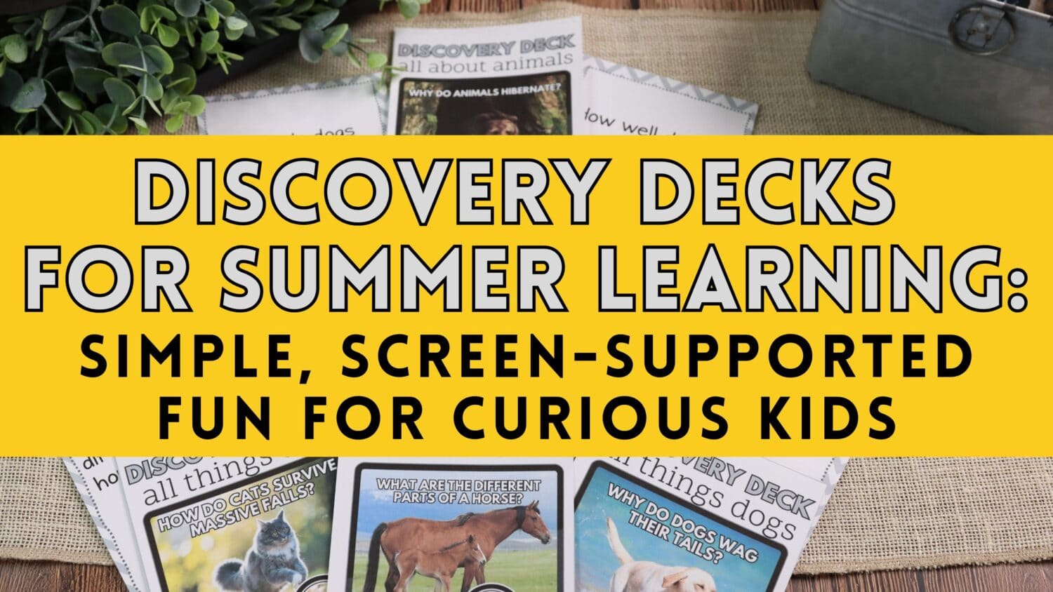 Discovery Decks for Summer Learning: Simple Fun for Kids