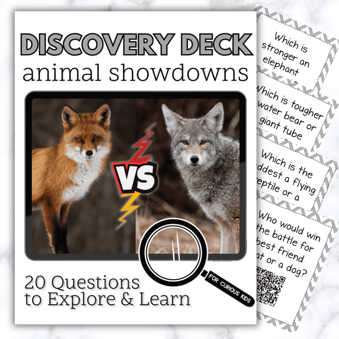 Animal Showdown Discovery Deck - The Waldock Way